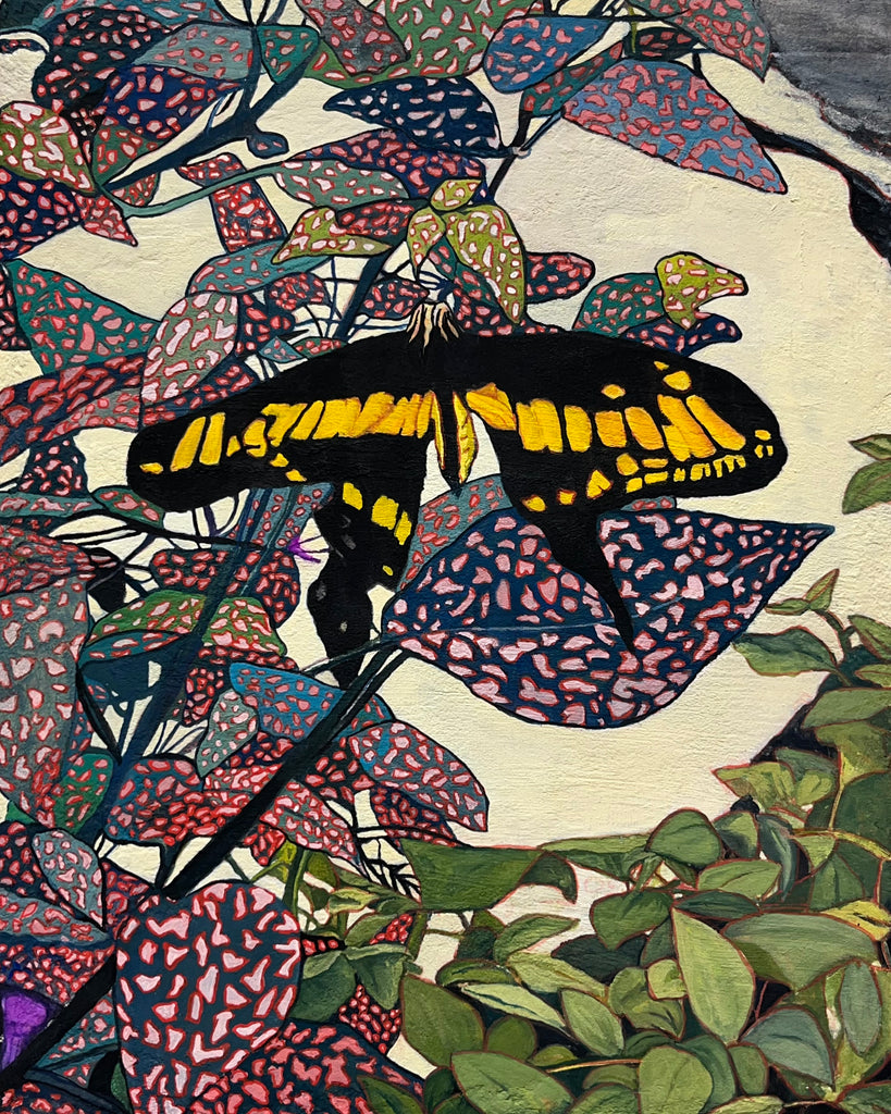 Alex Sax: Butterfly and Pink Spots – Cerulean Arts